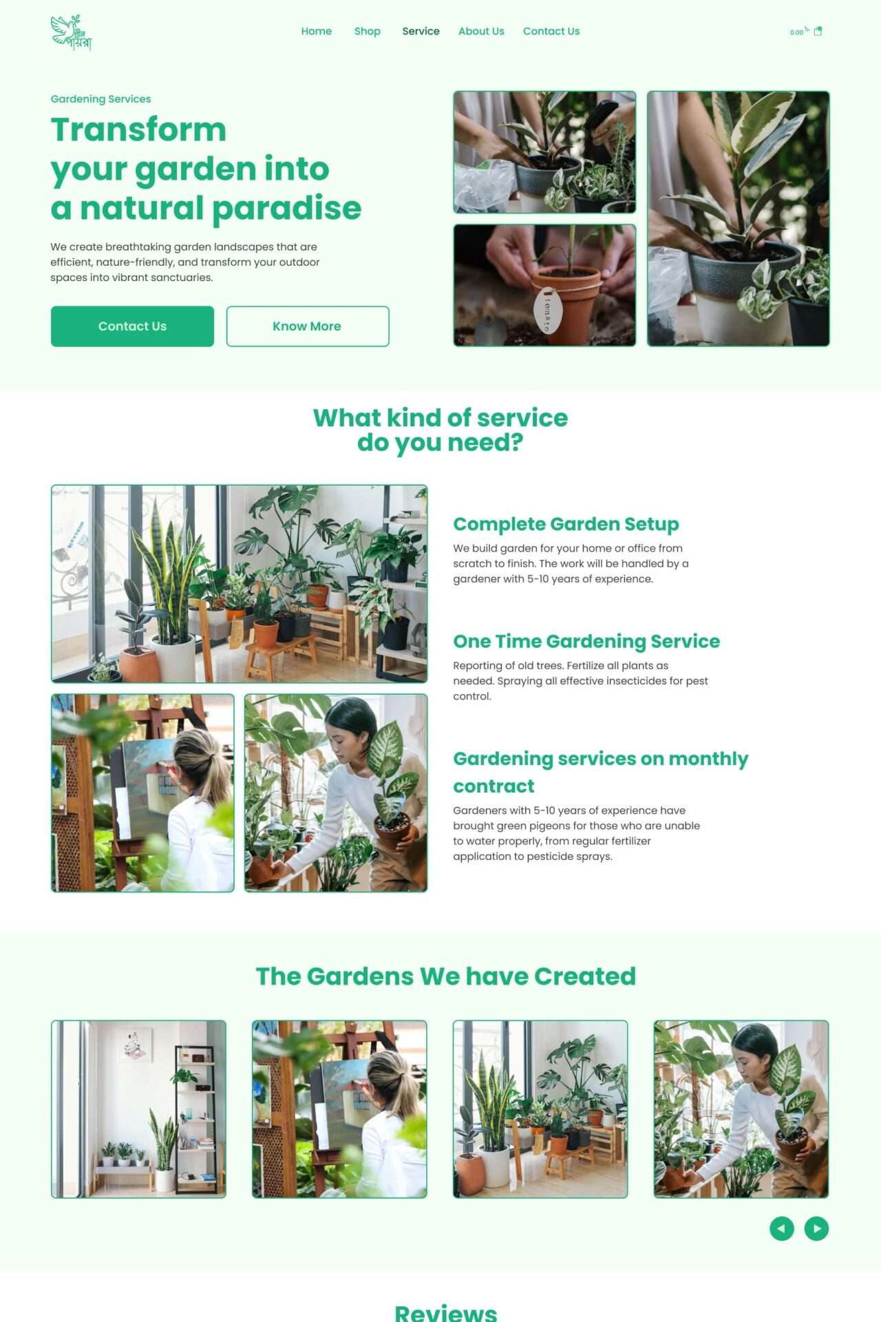 Web Design and Development Agency for Small Business - Blue Pexel